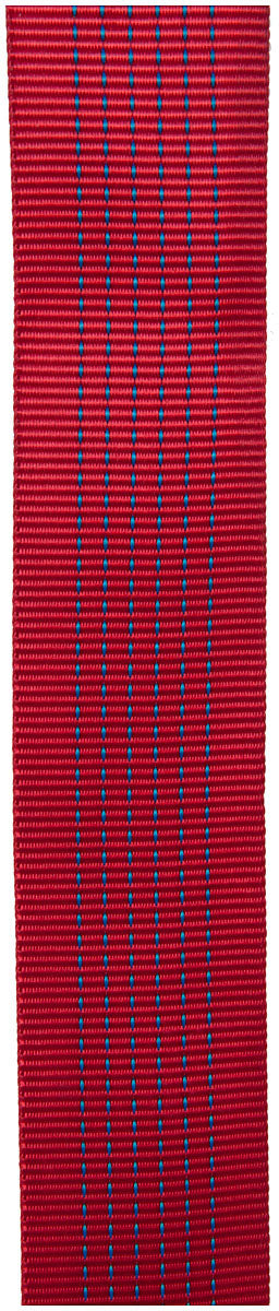 2"X150' Red Tube Webbing – Lotz Outdoors