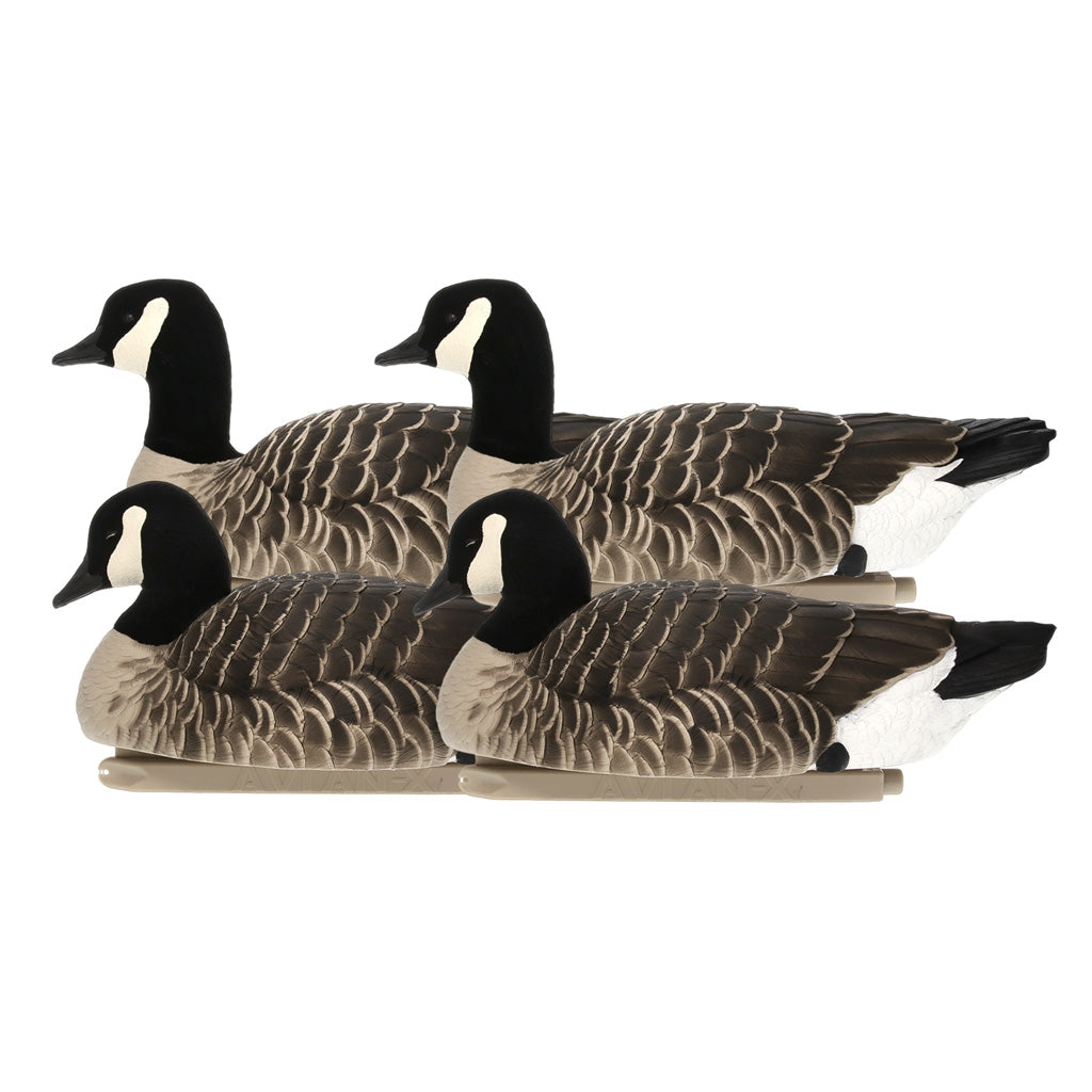Avian-X Top Flight Goose Decoys Lesser Goose 4 Pack - Realistic Decoy ...