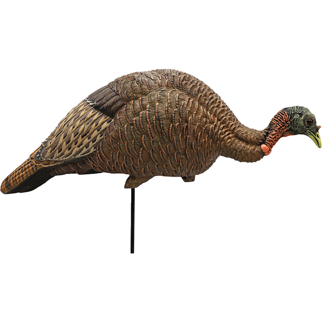 MOJO Feeder Breeder Hen Turkey Decoy – Lotz Outdoors