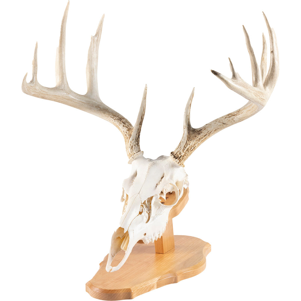 Walnut Hollow Euro Mount Kit Cherry – Lotz Outdoors